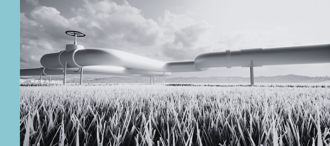 Ampol, GrainCorp, and IFM sign MOU to explore renewable fuels industry ...