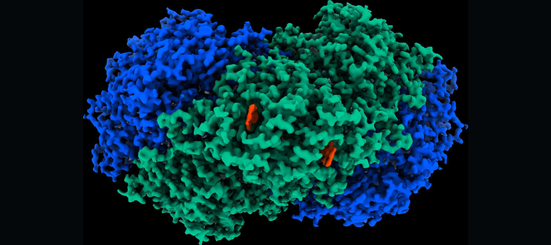 The enzyme that could help make energy dreams come true - Hunter New Energy