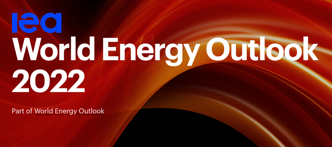 Energy crisis is accelerating energy diversification, according to ...